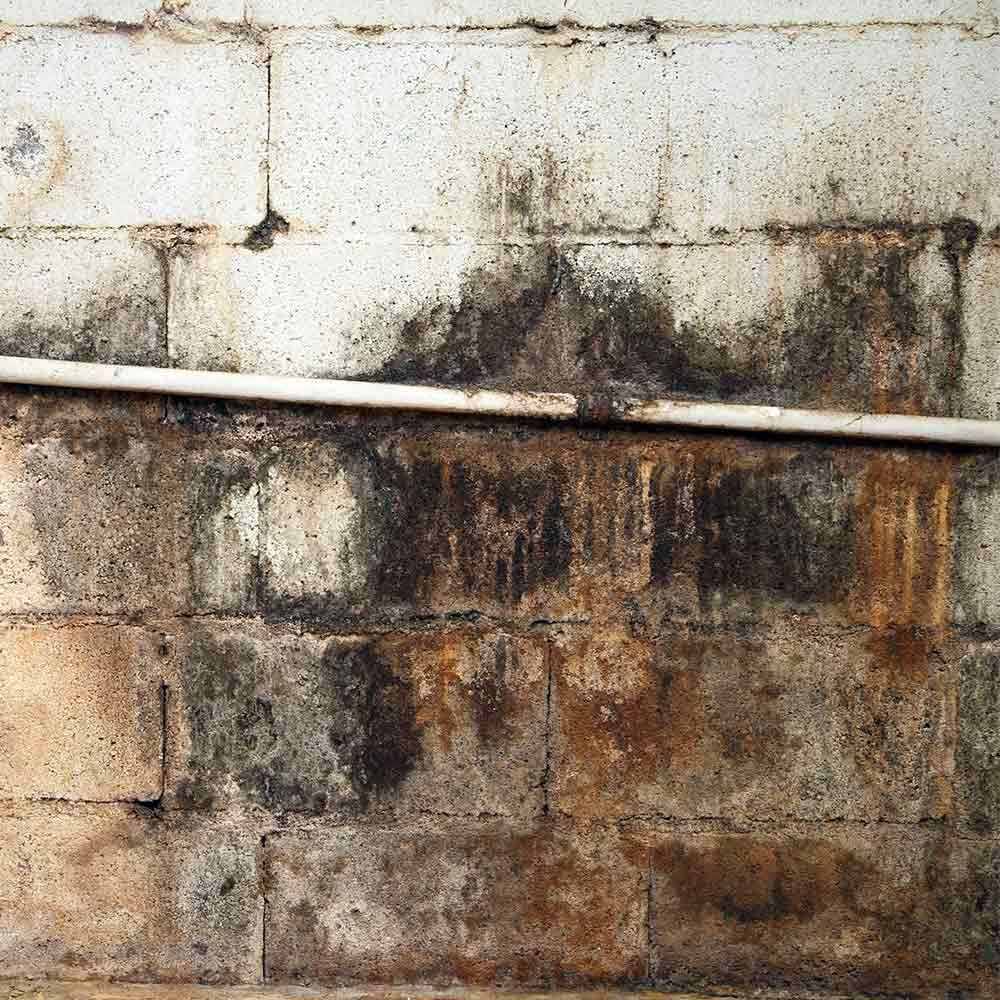 Scaldino Basement Solutions: Waterproofing, Foundation Repair, Crawl Spaces