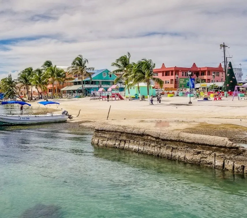 From Belize To Your Store