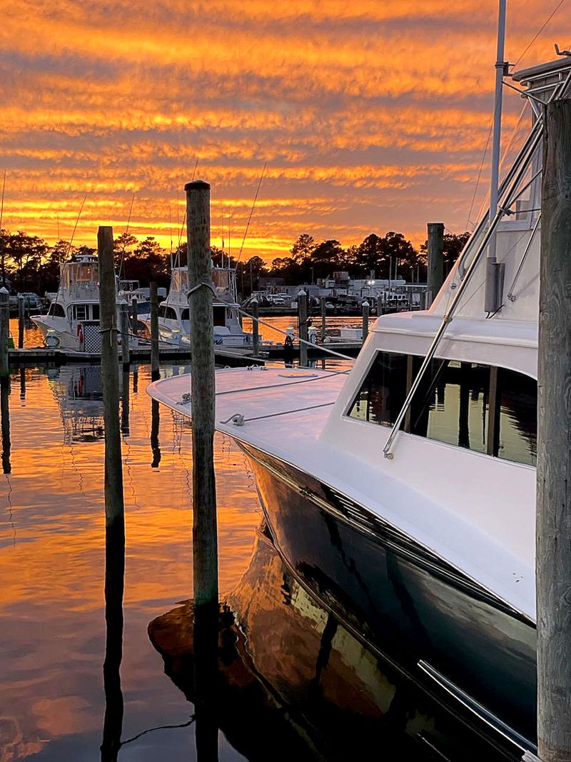 Doghouse Sportfishing