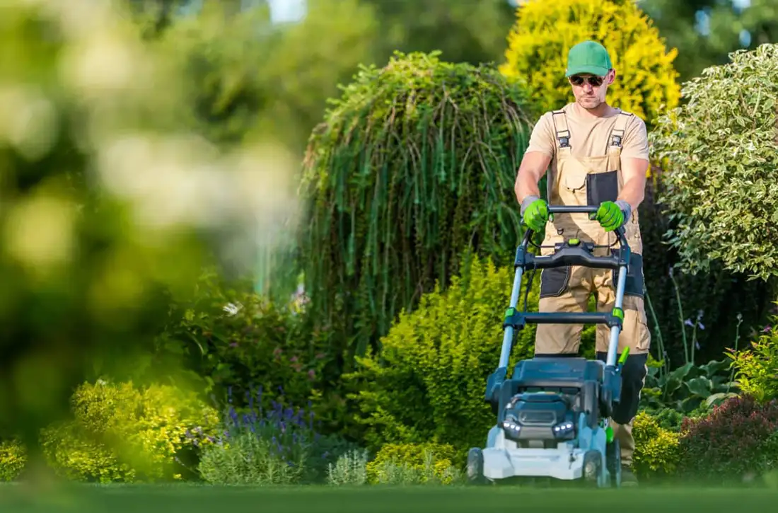 Weekly Lawn Mowing