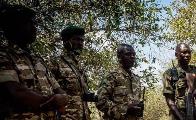 World Ranger Day 2022 - Stand in support of our brave and fearless ...