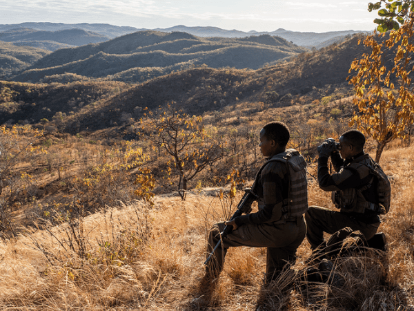 Nature Protected by Women - Akashinga Begins a Major Expansion Across ...