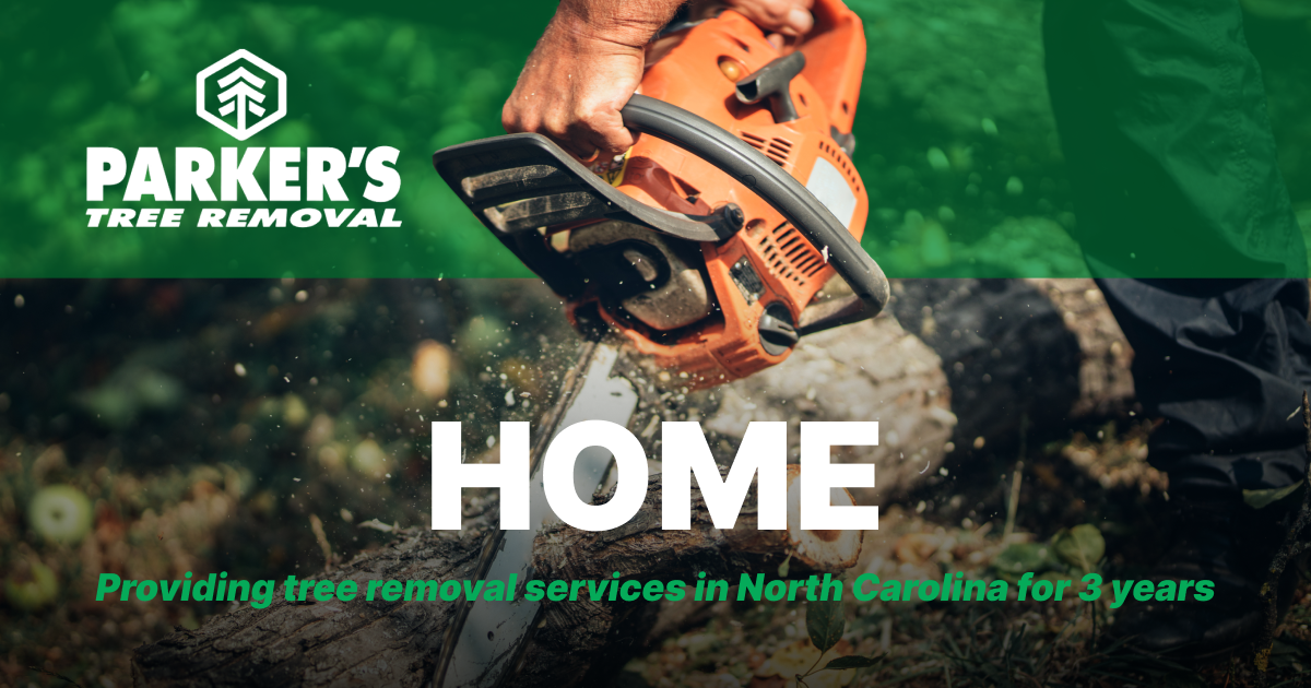 NC's Choice For Tree Service Providers | Parker's Tree Removal