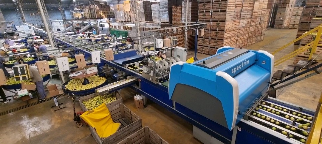 Digital Sense | AI, Machine Learning and Computer Vision Services