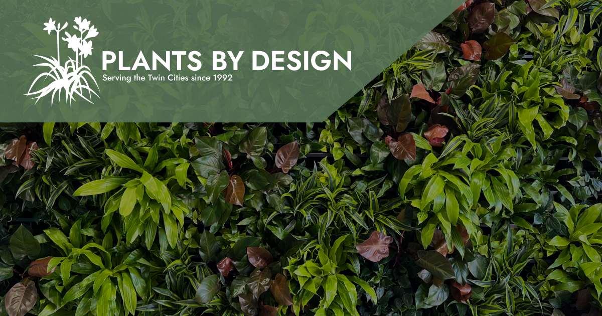 Plants by Design – Serving the Twin Cities since 1992