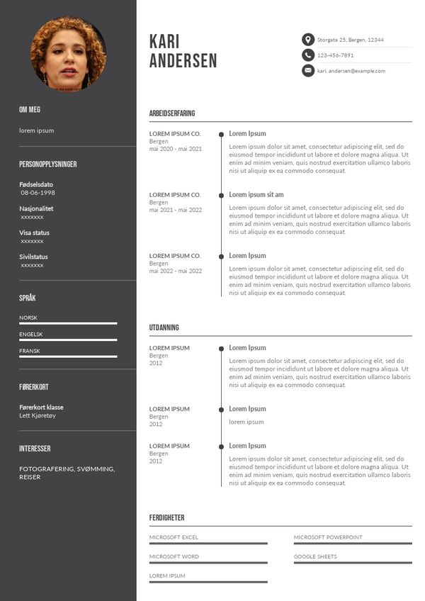 CV-eksempel for snekkere