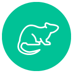 Rodent Control - Truforce Pest Control