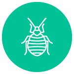 Pest Control - Truforce Pest Control