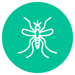 Rodent Control - Truforce Pest Control