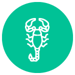 Scorpion Control - Truforce Pest Control