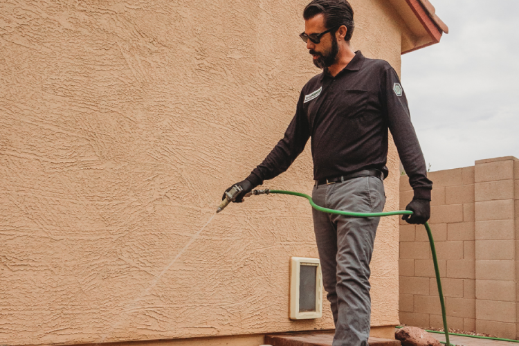 Pest Control - Truforce Pest Control