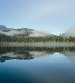 Mission Zero Technologies | Technology