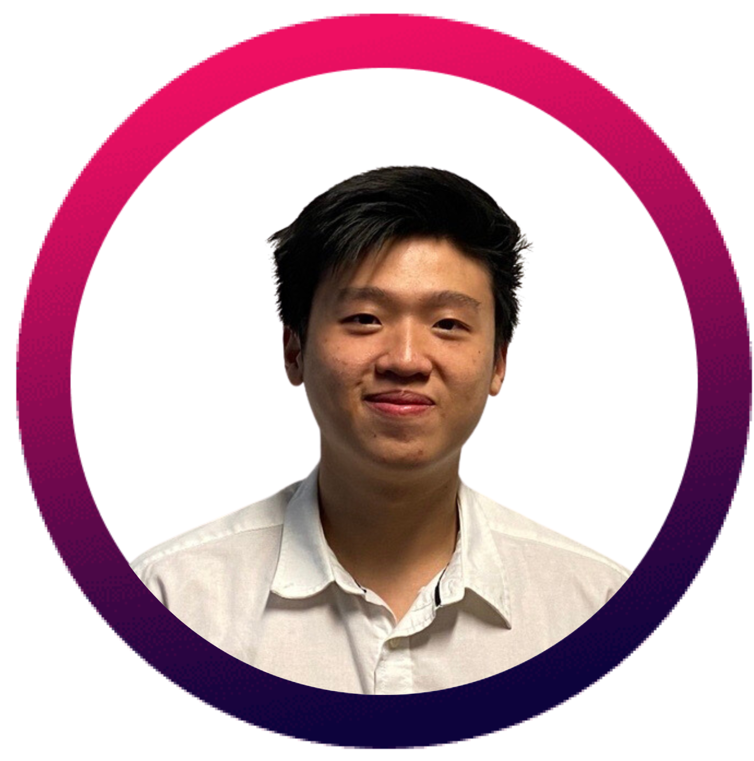 Vincent Taneli (Software Engineer) - propella.ai