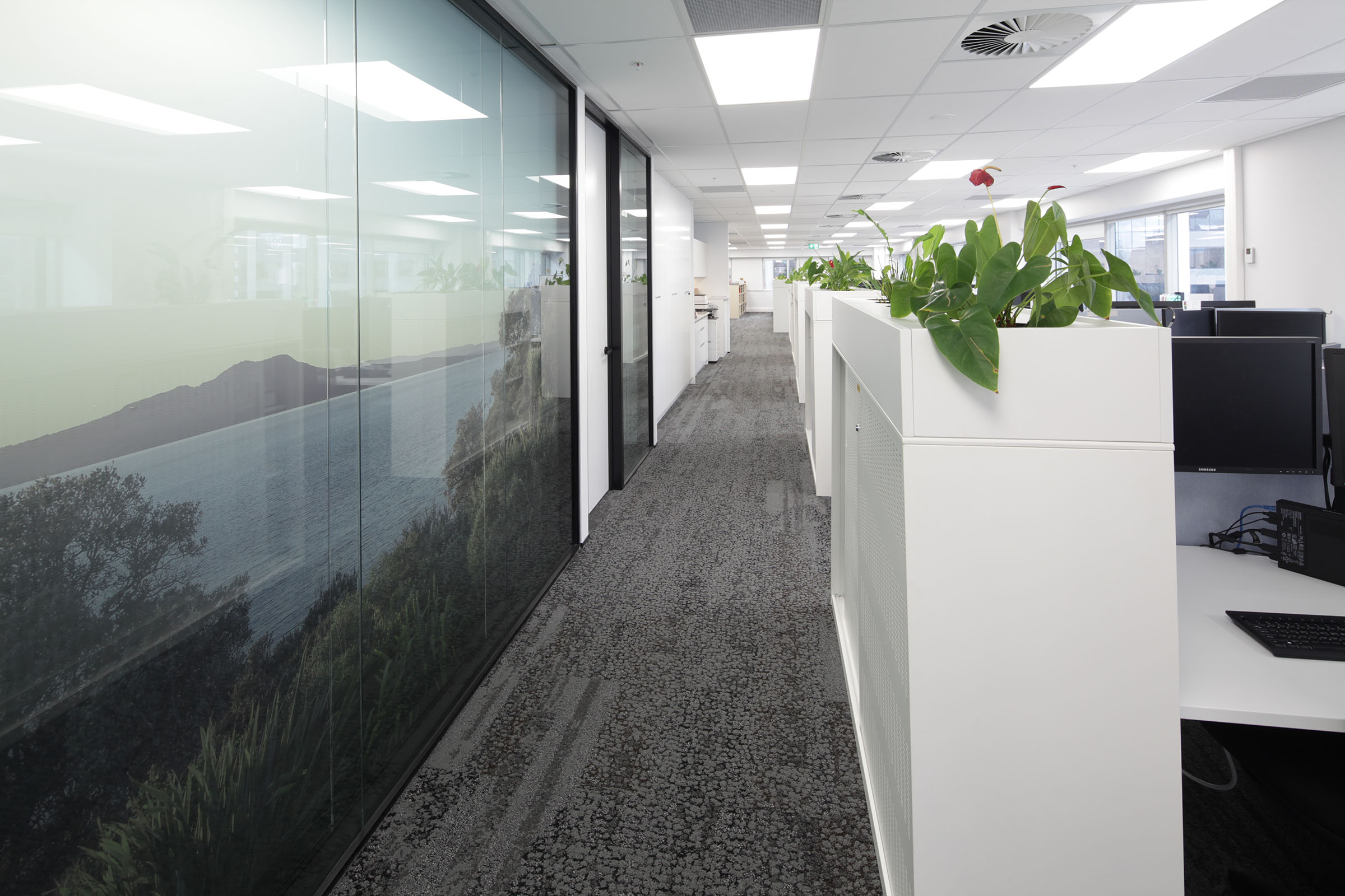 Gallagher Basset | Gaze