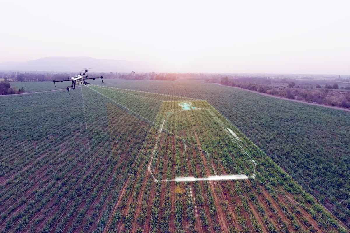 What is 3D Mapping? Your Guide to the Future of Visualization