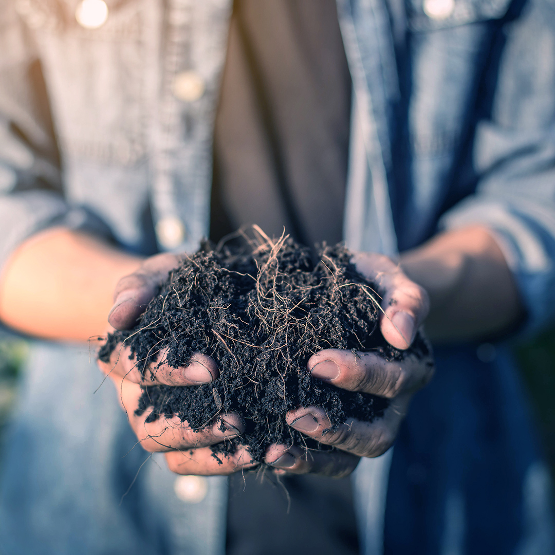 Impact | Tackles plastic pollution – Climate positive – Restores ocean ...