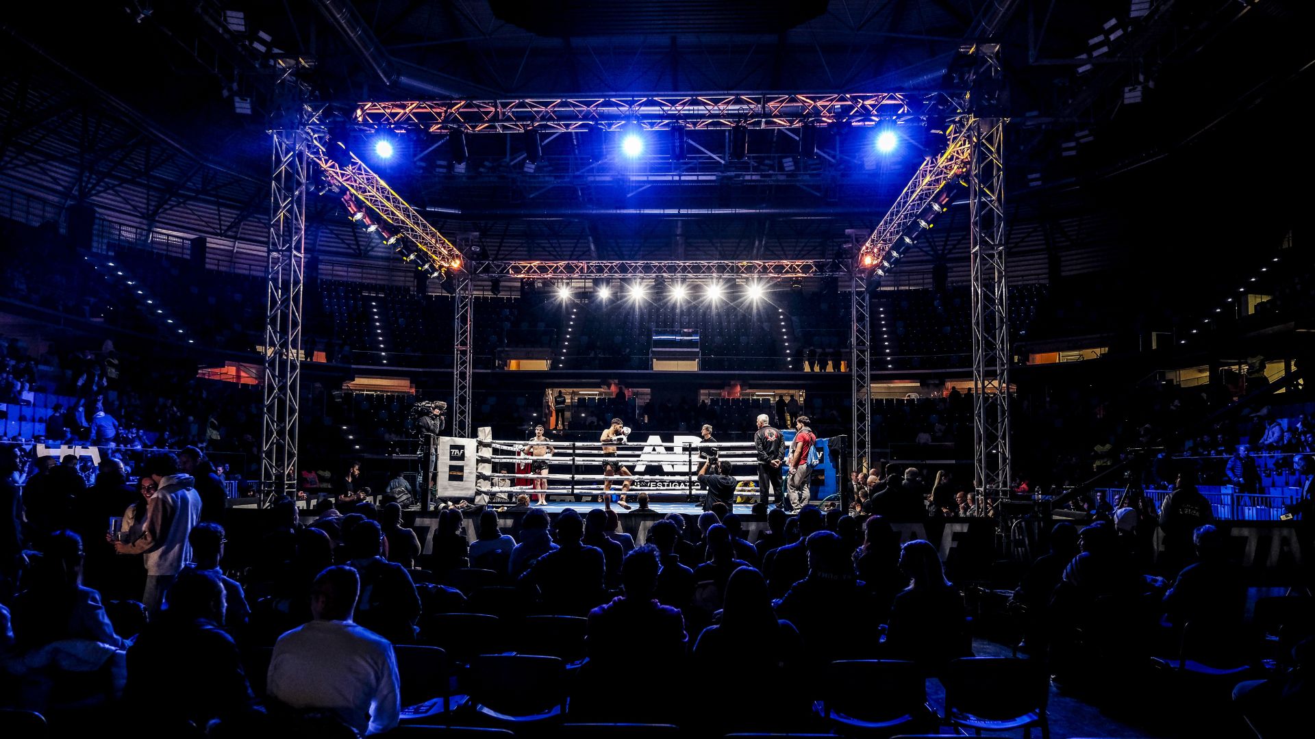 TAF THE ART OF FIGHTING