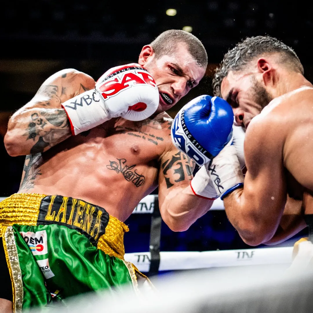 TAF THE ART OF FIGHTING