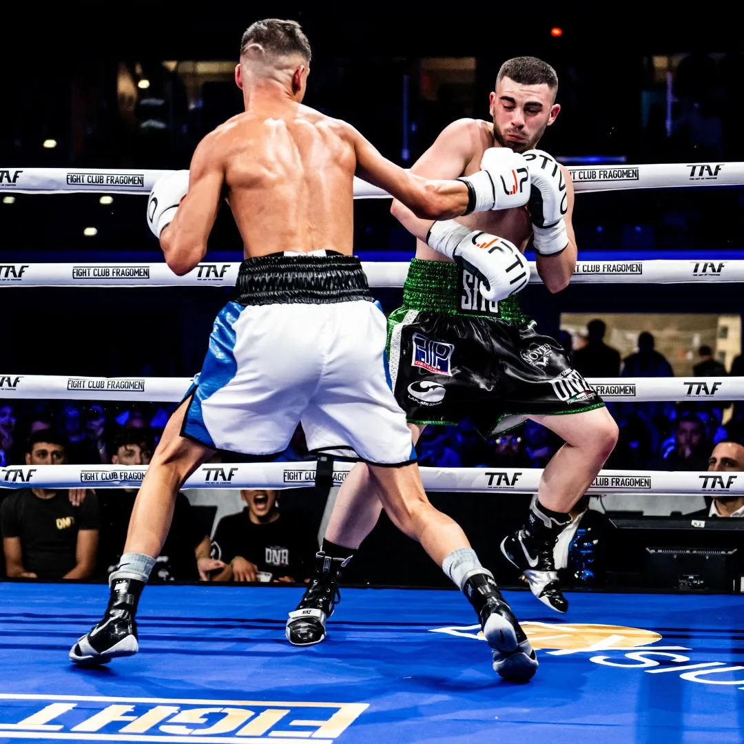 TAF THE ART OF FIGHTING