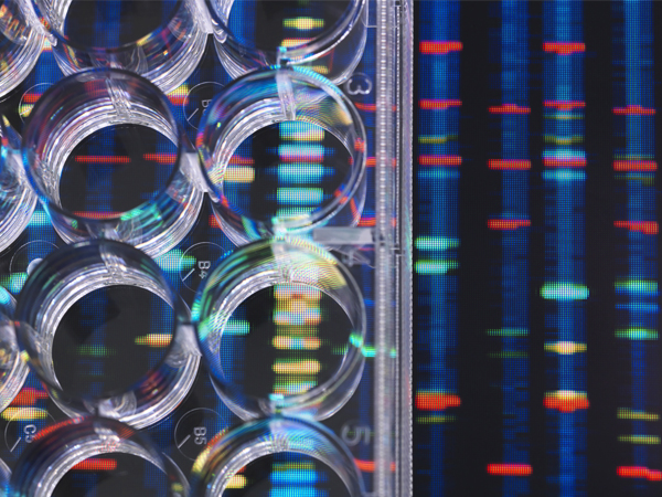 Human Reproduction in Space I SpaceBorn United