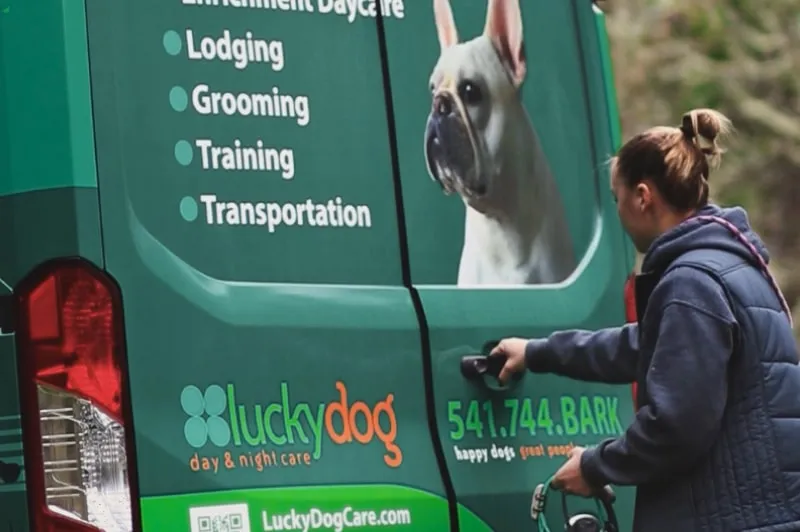 Luckydog Day & Night Care