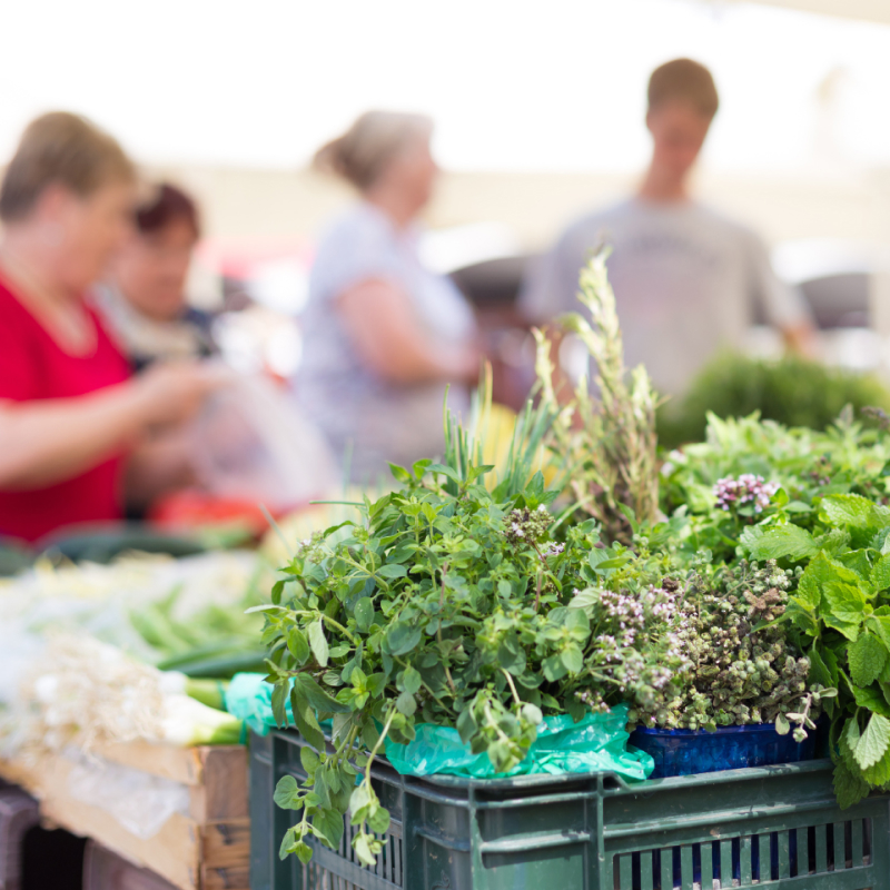 Earn more, work less with Farmhand