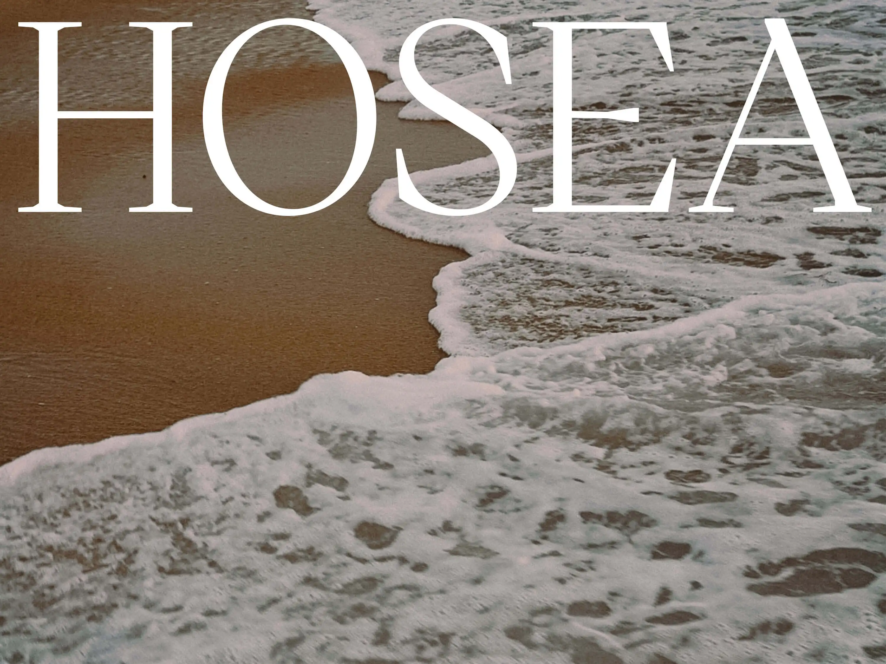 Hosea Store | Retail Branding