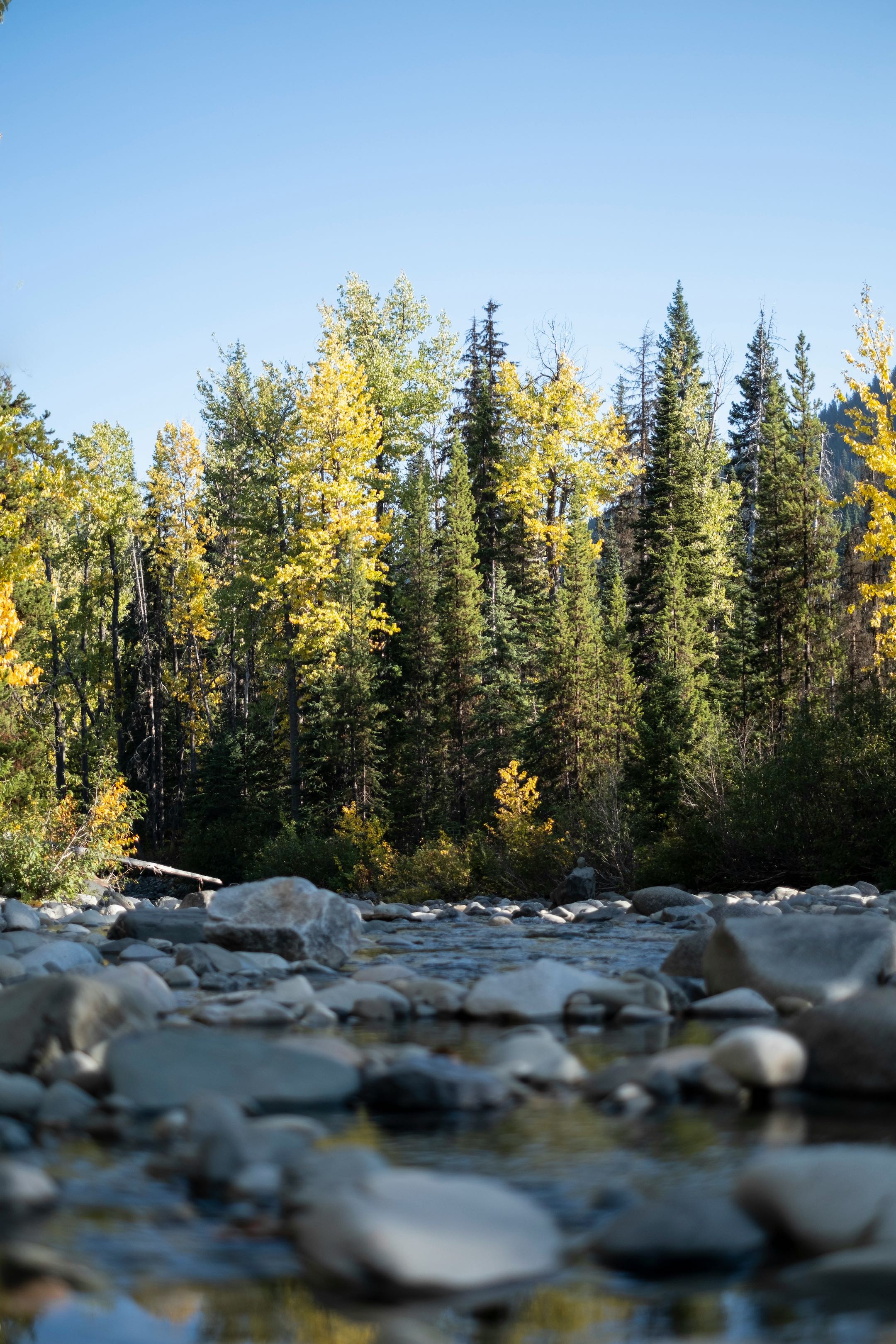 Grassroots Conservation Fund