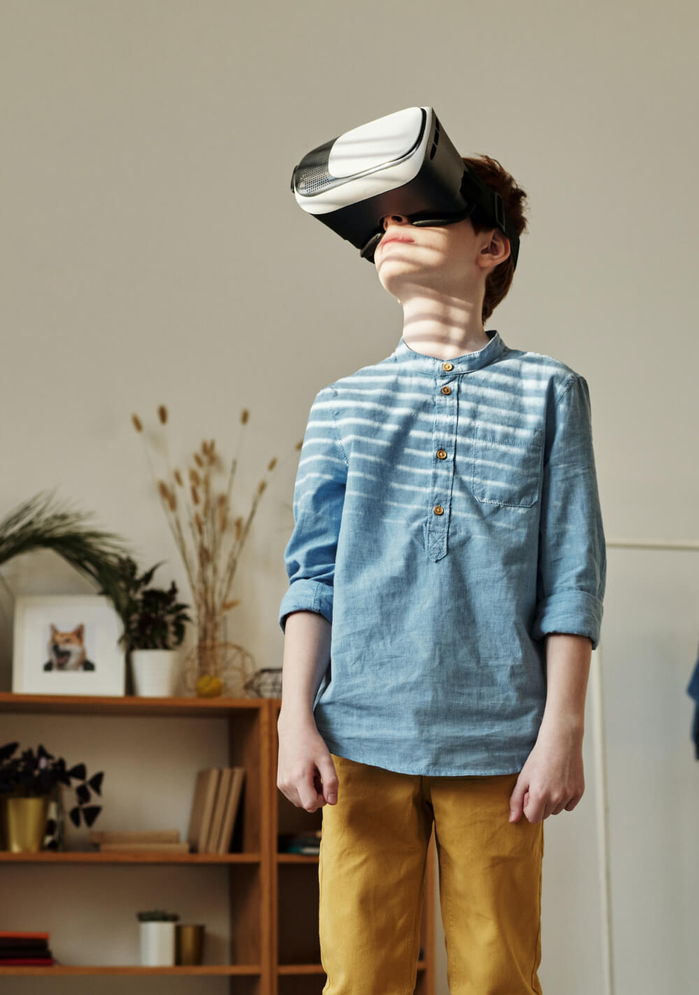 Infoline Information Technologies – Open Innovation