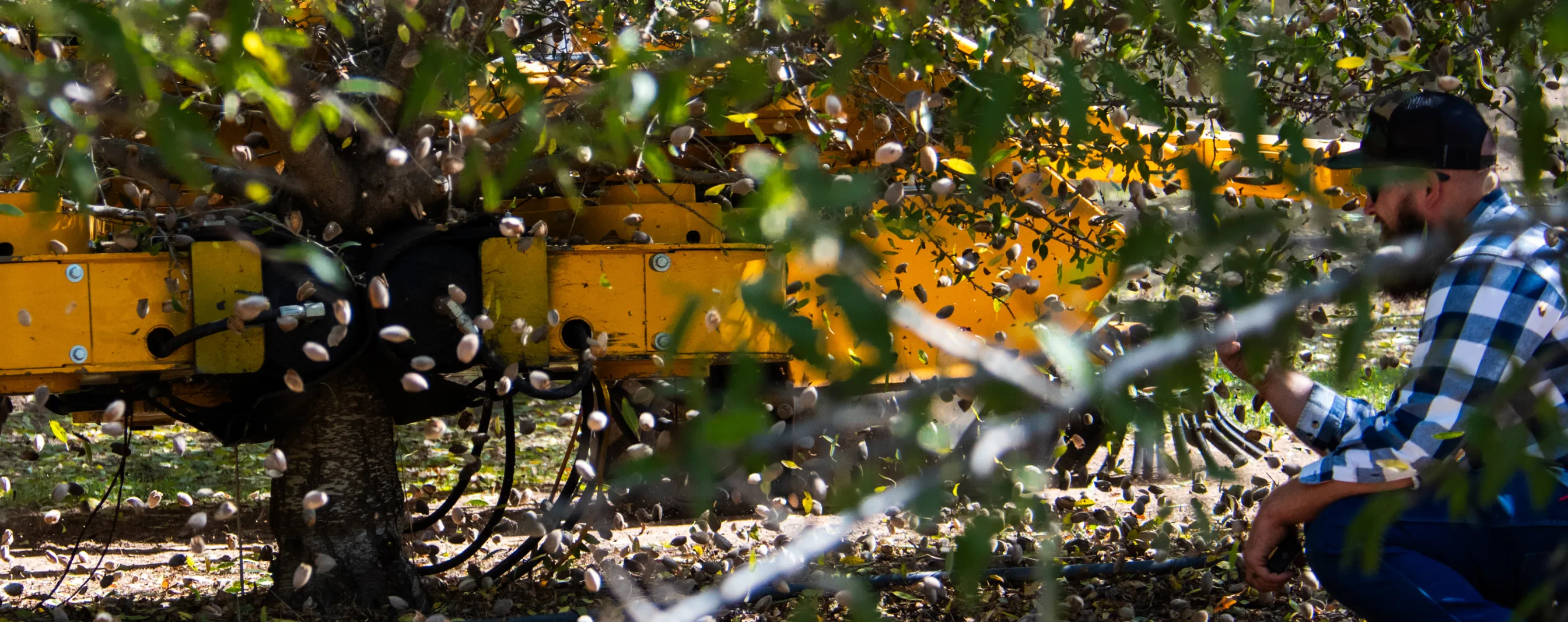 Bonsai Robotics – Home