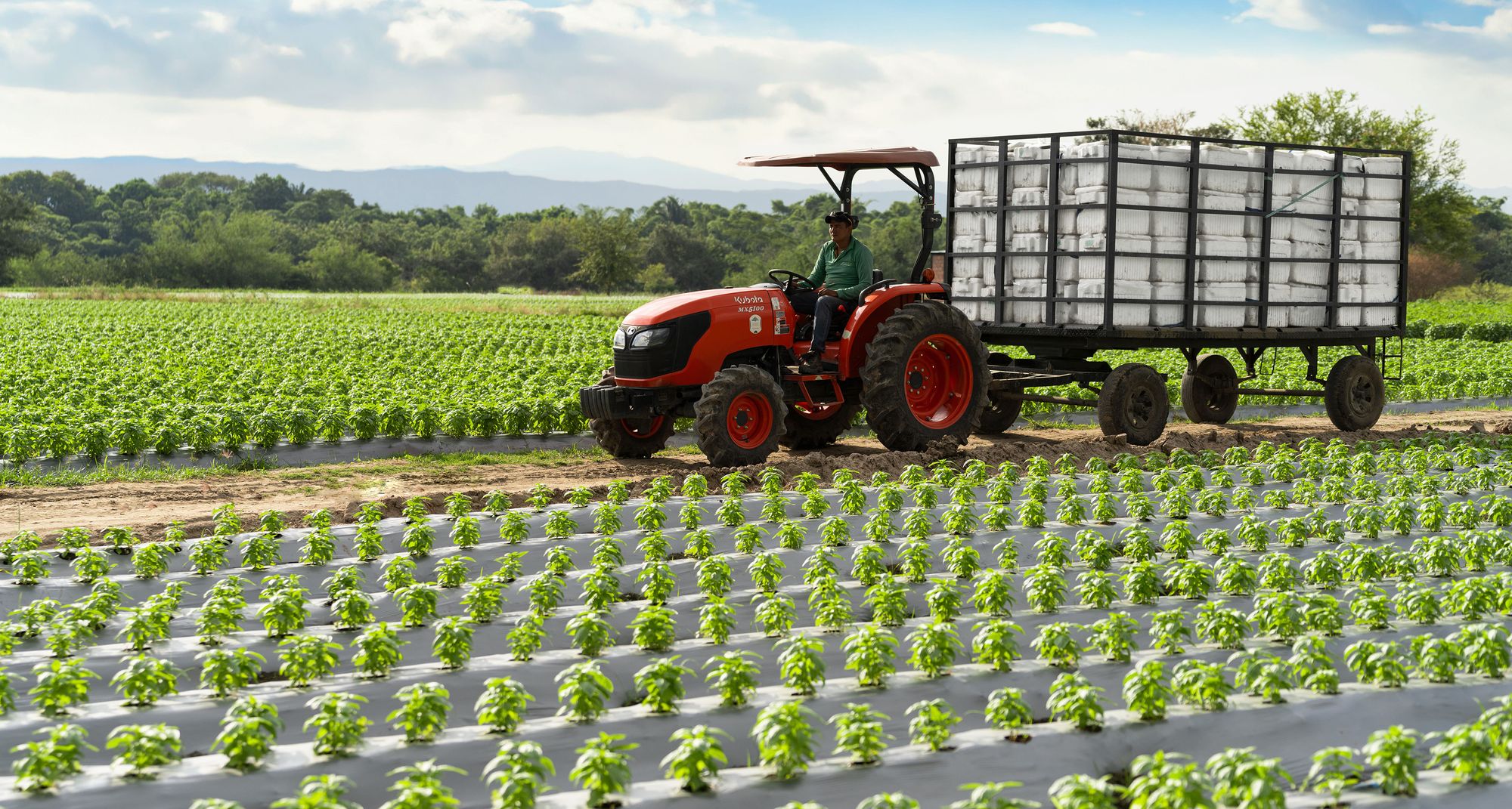 Eshkol Premium | Home