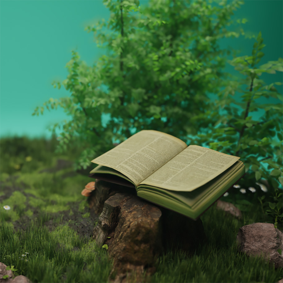 Education & Storytelling