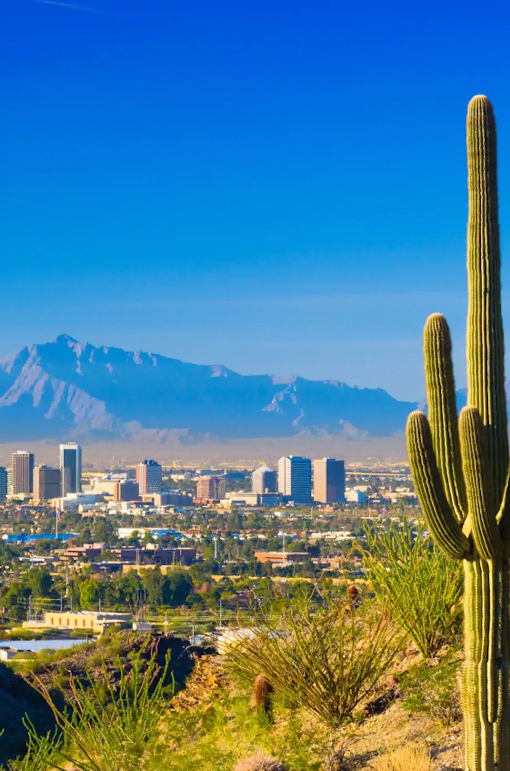 Accounting Services - Colby Powell, PLC