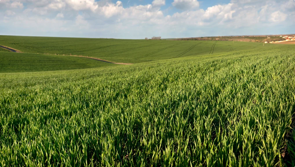 Agriculture Resilience Platform | Regrow