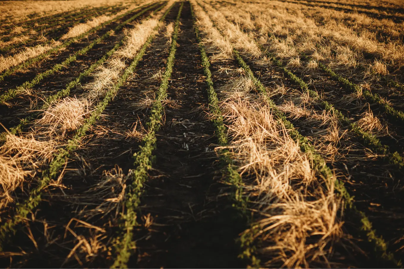 Data And Research Regrow Ag