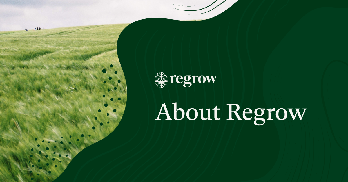 About Us | Regrow