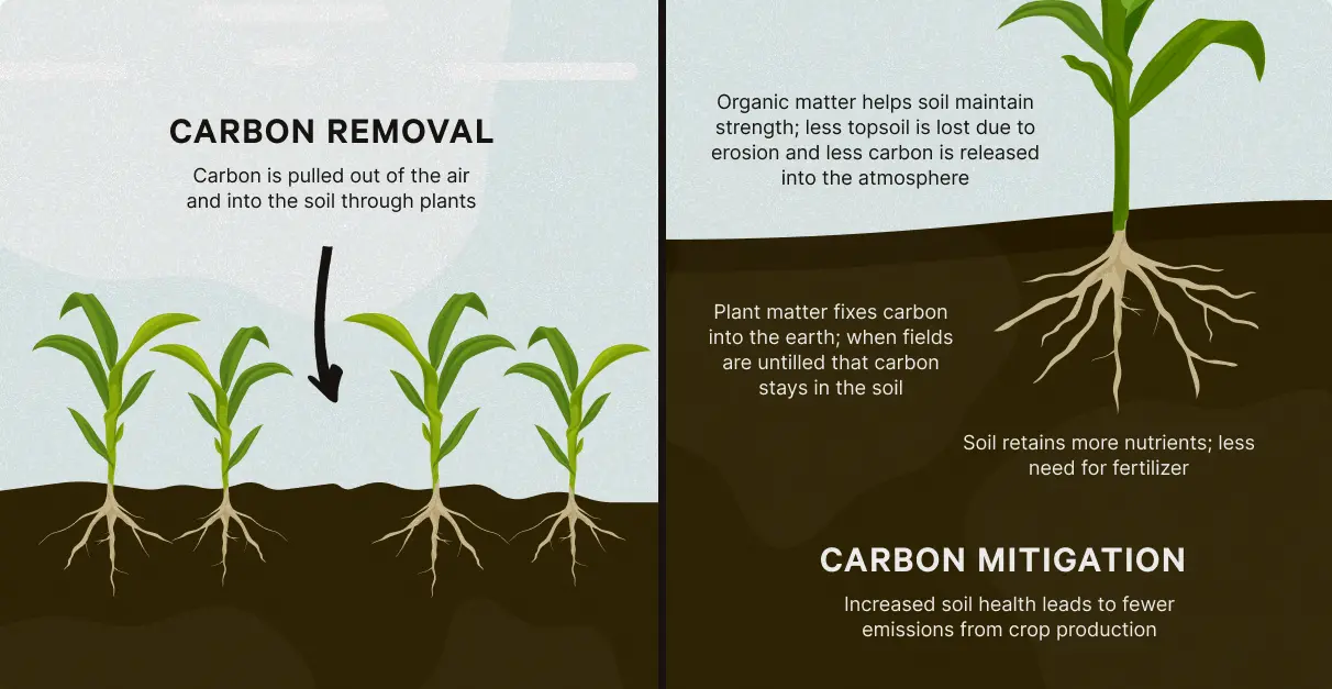 Carbon Mitigation, Sequestration and Avoidance | Regrow Ag