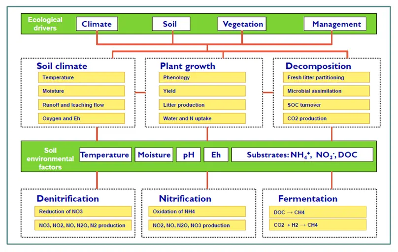 The Science Behind Quantifying Agricultural Emissions | Regrow Ag