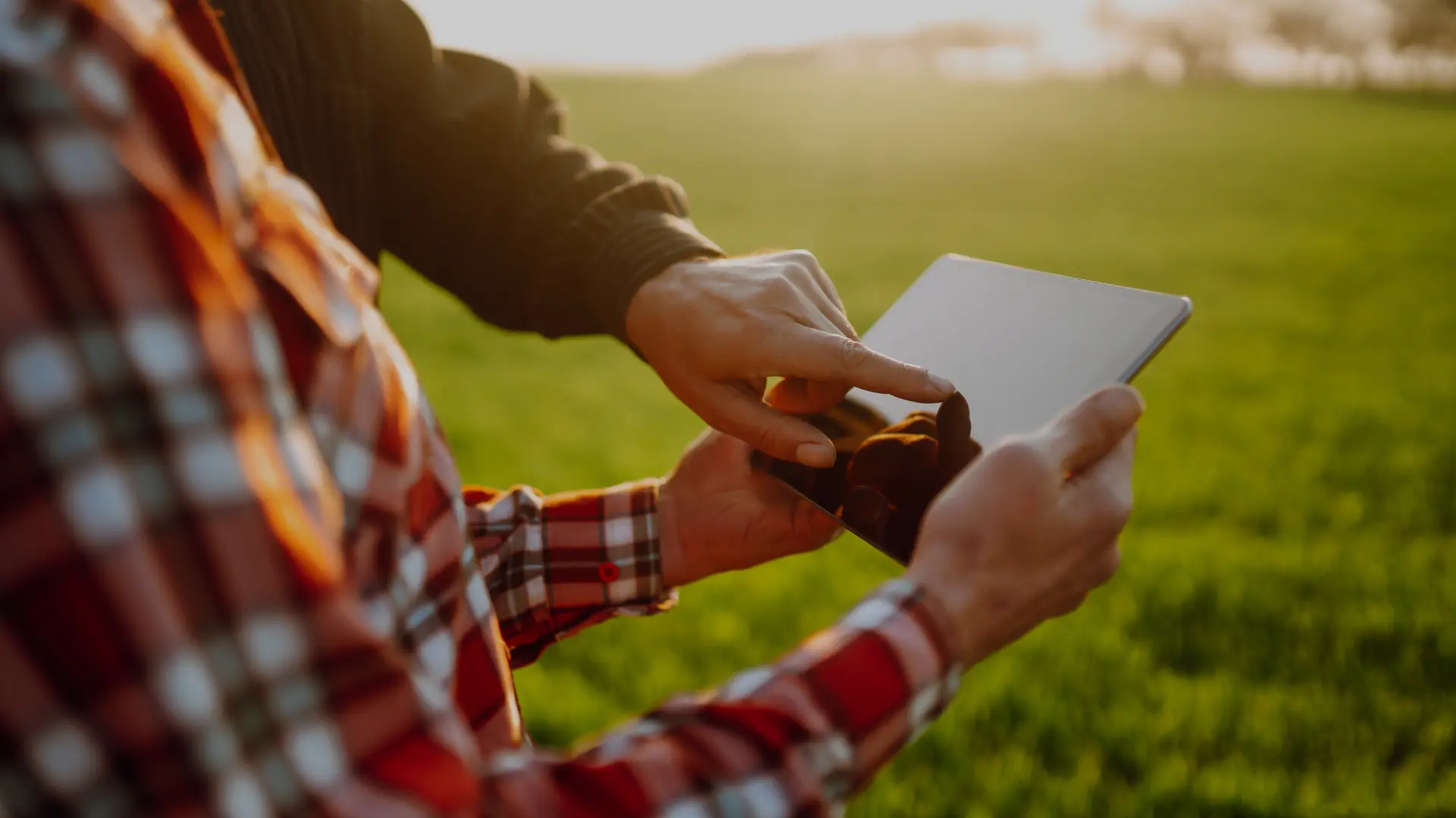 How we can use data to build better sustainability programs | Regrow Ag