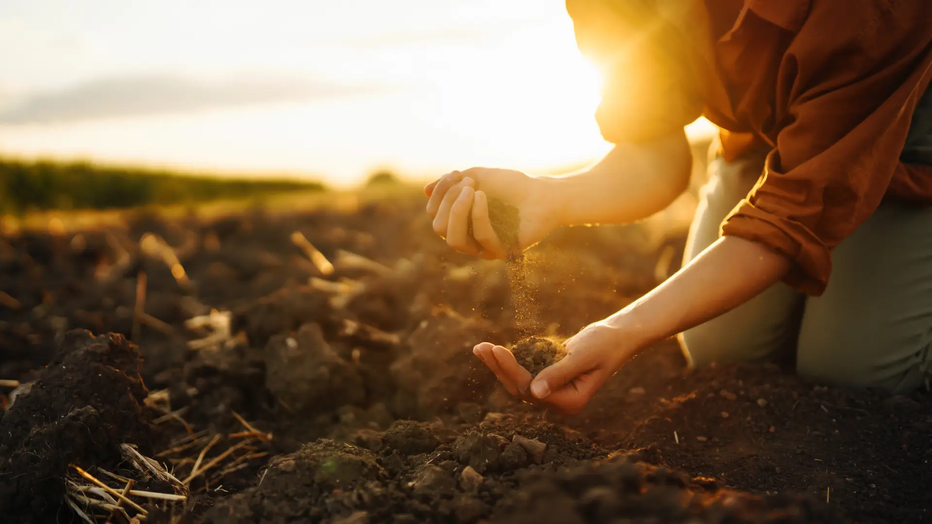 Climate Action through Agriculture: Exploring the Science of Soil ...