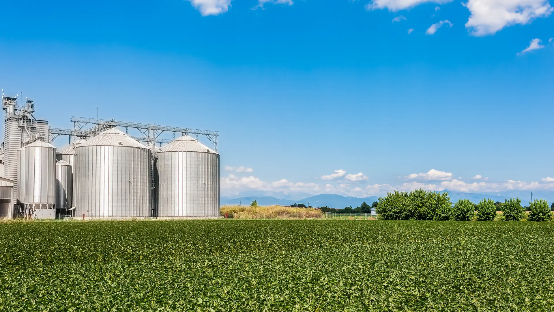 Climate Action through Agriculture: Science Based Targets in 2023 ...