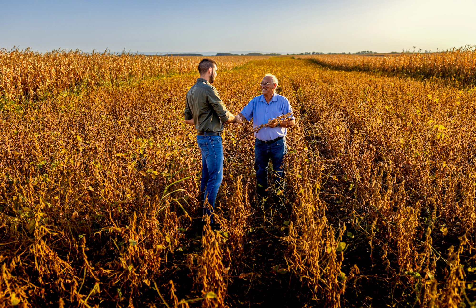 MRV Platform | Regrow Ag