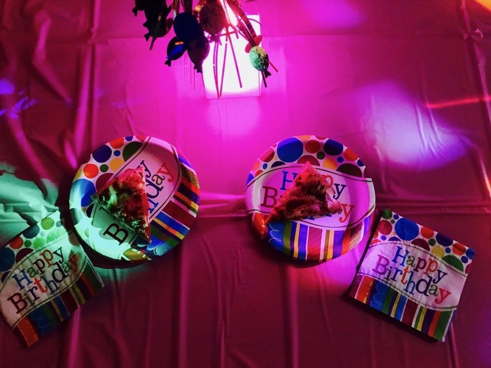 9 Coolest Places in Pittsburgh for Your Kid’s Birthday