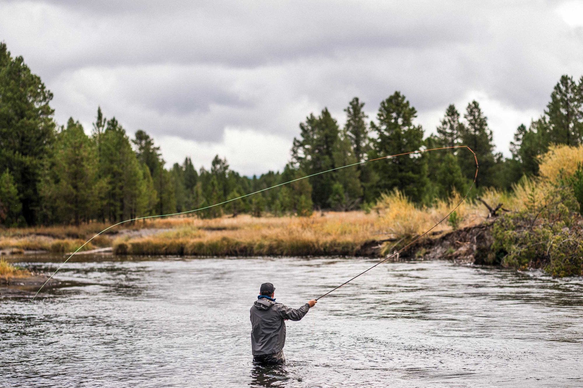 OnWater Fish App Pricing: View Cost & Membership Options