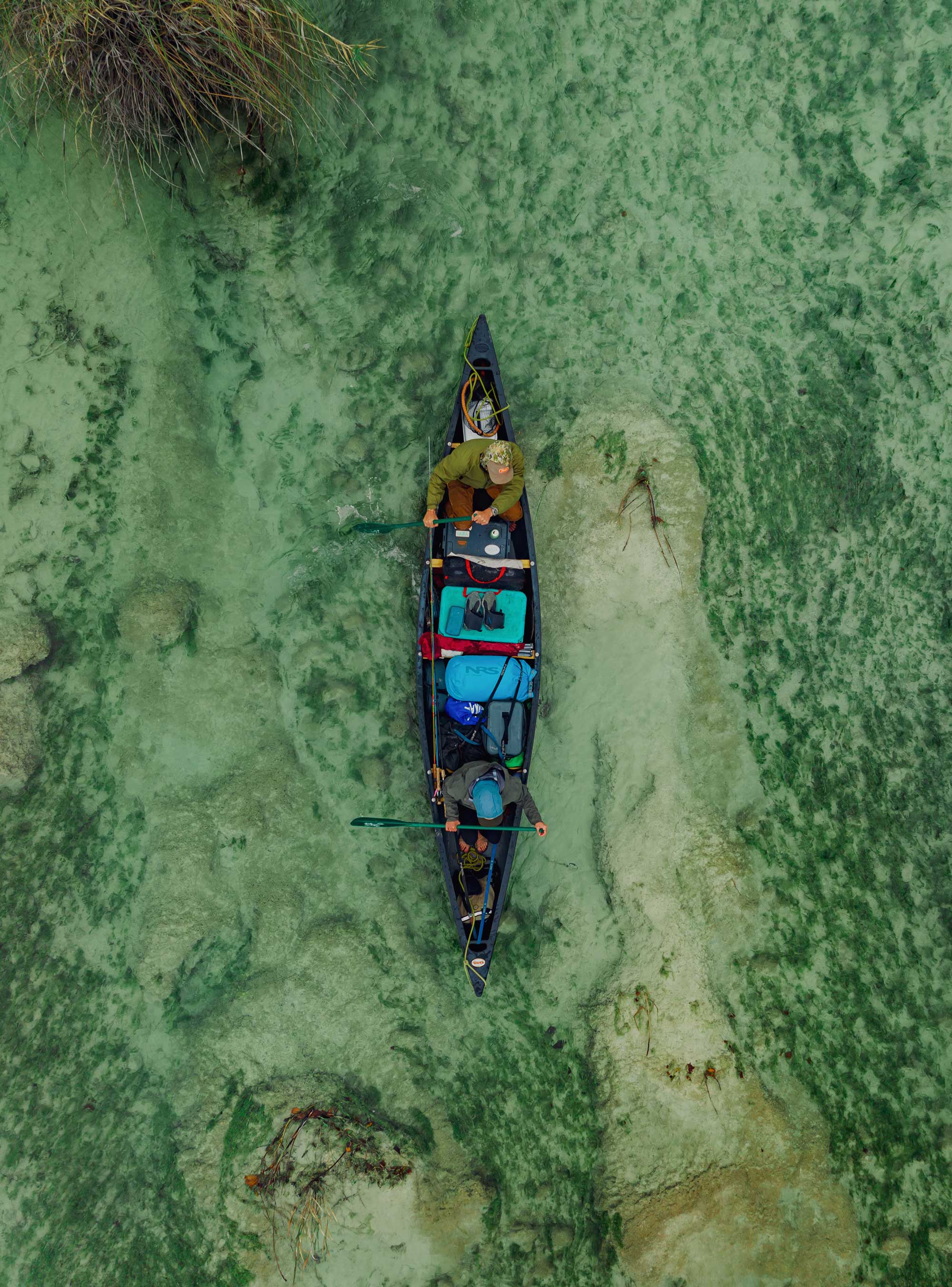 About onWater Fish: Water is What Connects Us All
