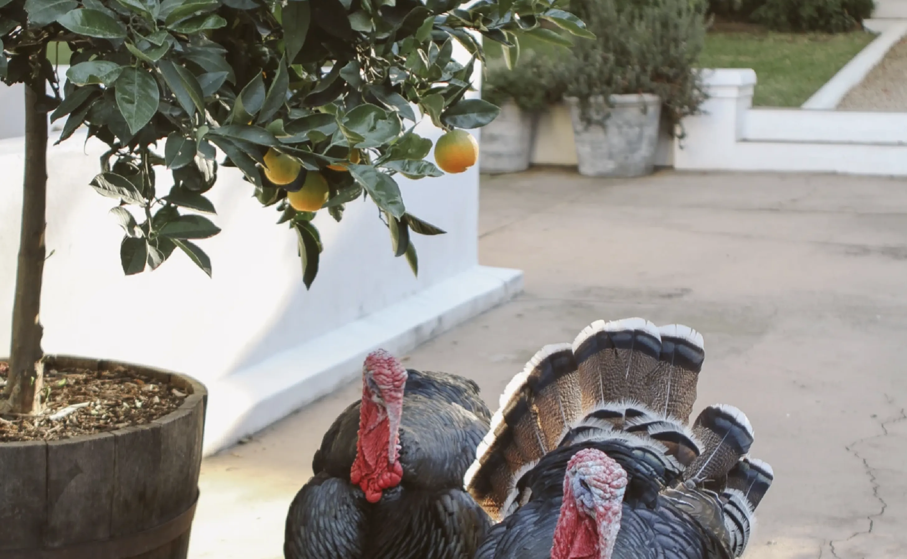 Eikehof | Boutique Guest Farm | Western Cape, South Africa