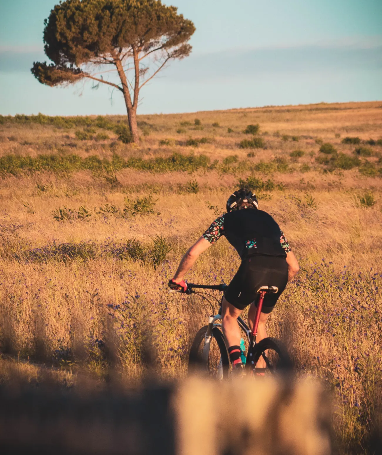 Experiences | Eikehof Boutique Guest Farm