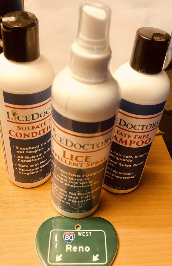 Head Lice Treatment - Removal Service in Reno, Nevada | LiceDoctors