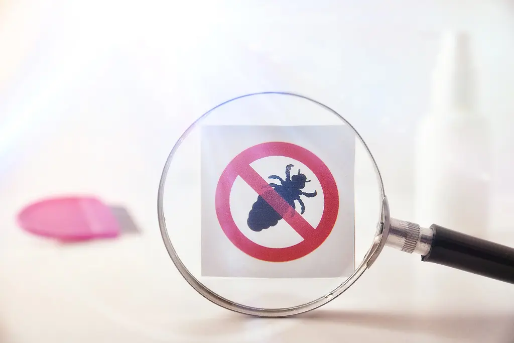 How to Kill Lice on Furniture | LiceDoctors