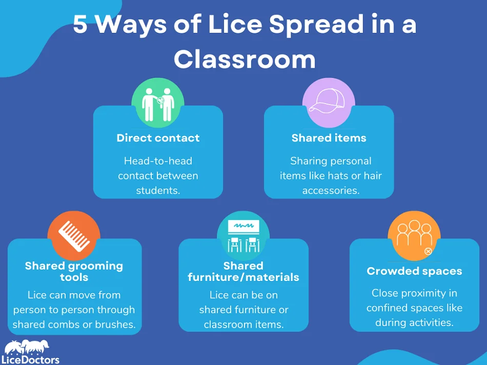 Lice at School: What to Do – A Guide for Parents and Schools | LiceDoctors